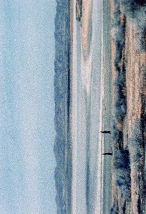 Sección visual de (100ft) (C) - FilmAffinity