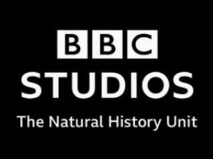 BBC Natural History Unit - FilmAffinity