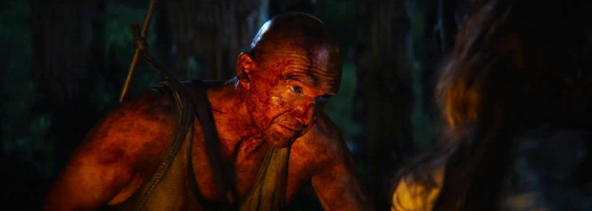 Sección visual de 28 años después - FilmAffinity