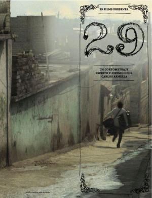 29 (C) (2010) - FilmAffinity