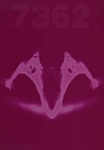 Sección visual de 7362 (C) - FilmAffinity