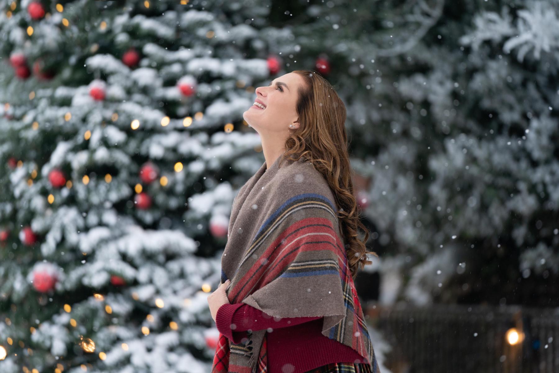 Image gallery for A Castle for Christmas - FilmAffinity