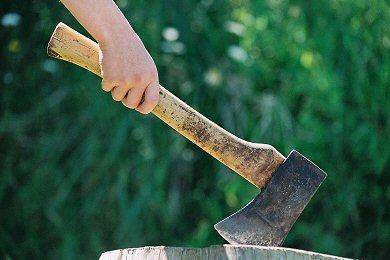 Sección visual de ¡Cuidado con el hacha! (C) - FilmAffinity