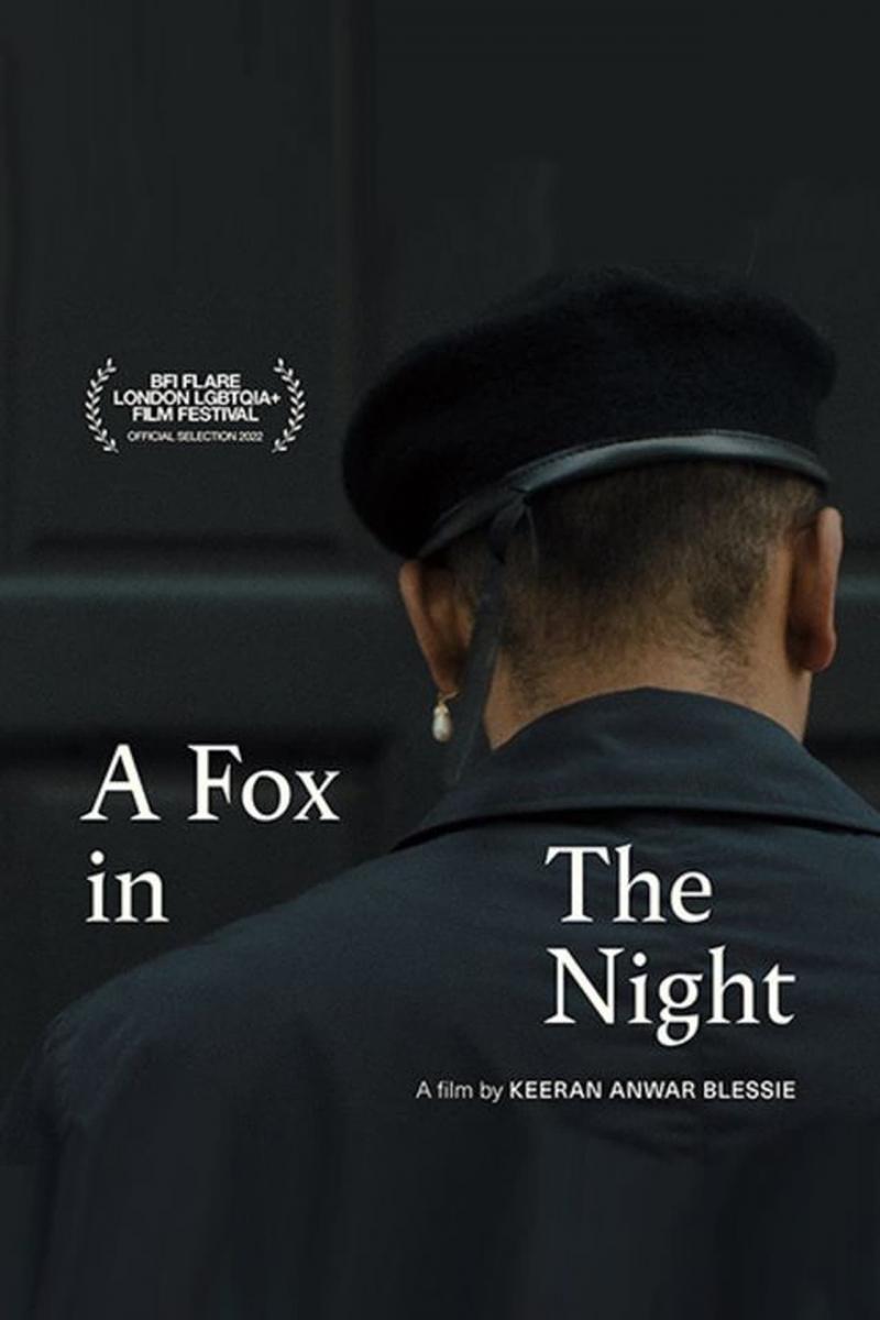 Sección visual de A Fox in the Night (C) - FilmAffinity
