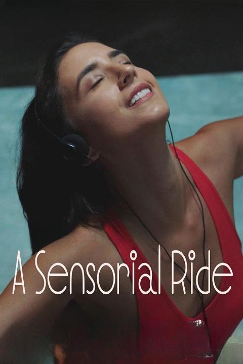 Image gallery for A Sensorial Ride (S) - FilmAffinity