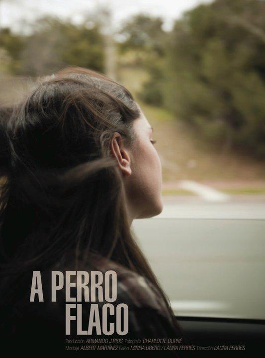 Image gallery for A perro flaco (S) (S) - FilmAffinity