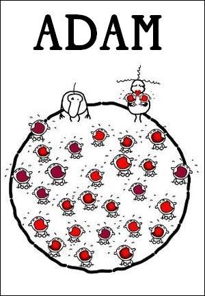 Sección visual de Adam (C) - FilmAffinity