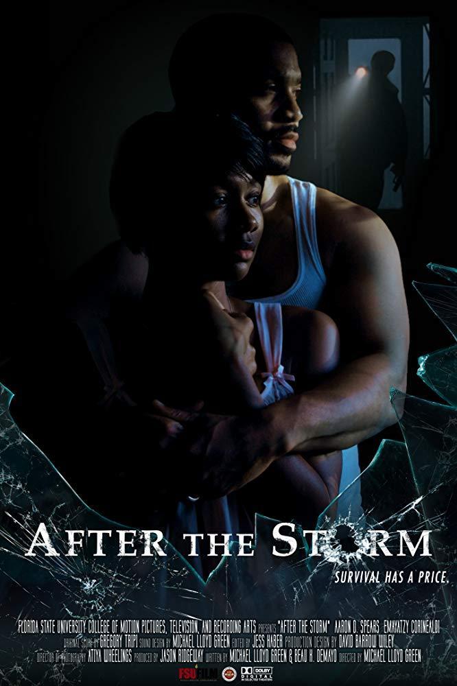 Sección visual de After the Storm (C) - FilmAffinity