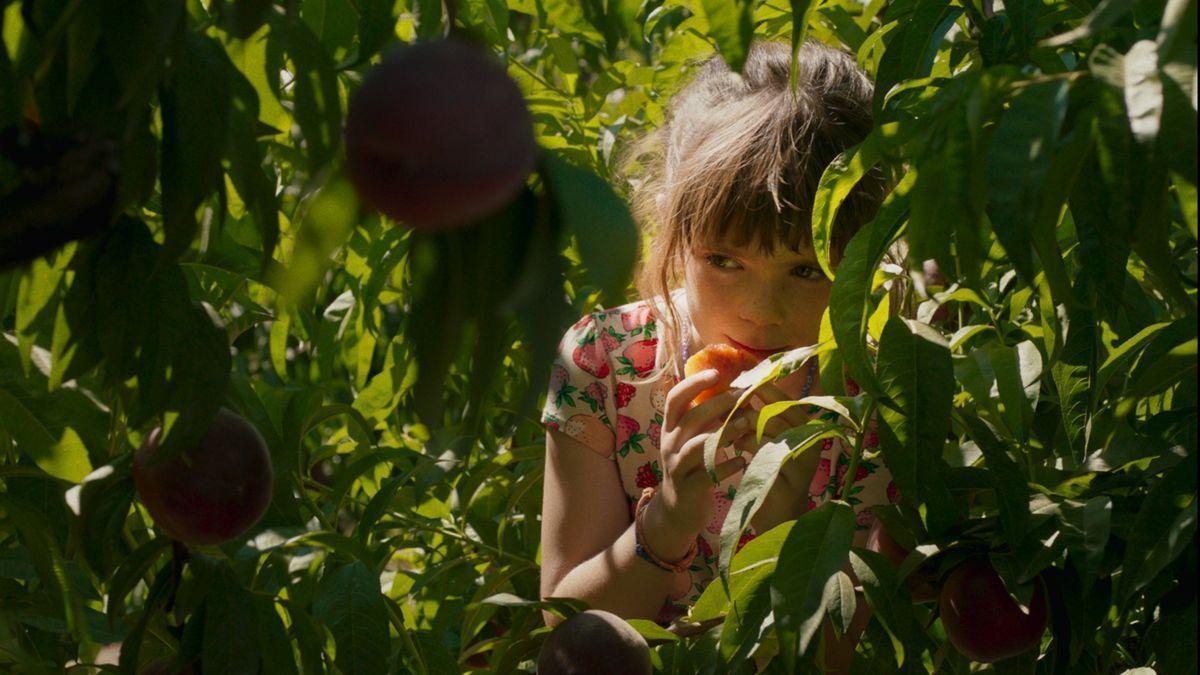 Image gallery for Alcarràs - FilmAffinity