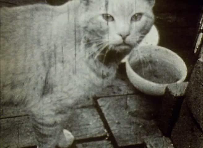 Sección visual de Aleph (C) - FilmAffinity