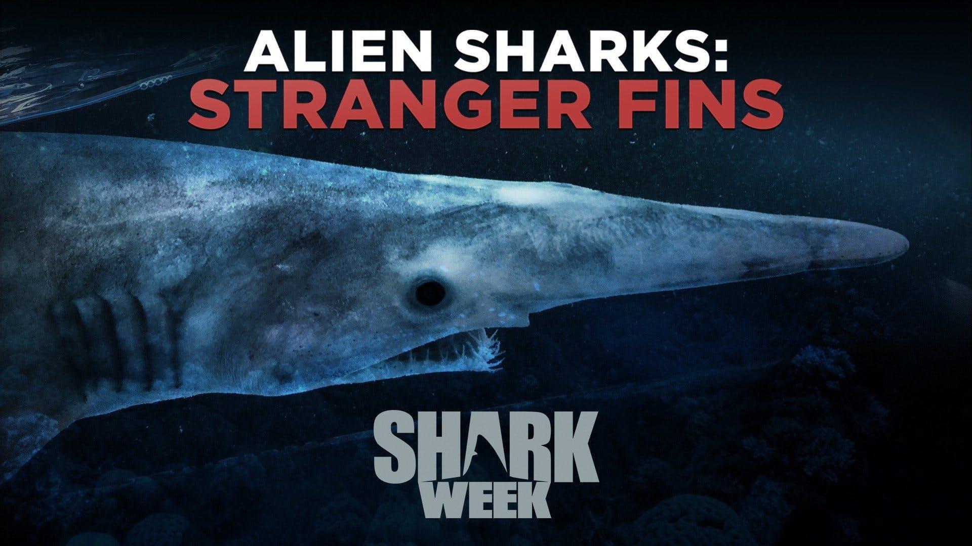 Image gallery for Alien Sharks: Stranger Fins (TV) - FilmAffinity