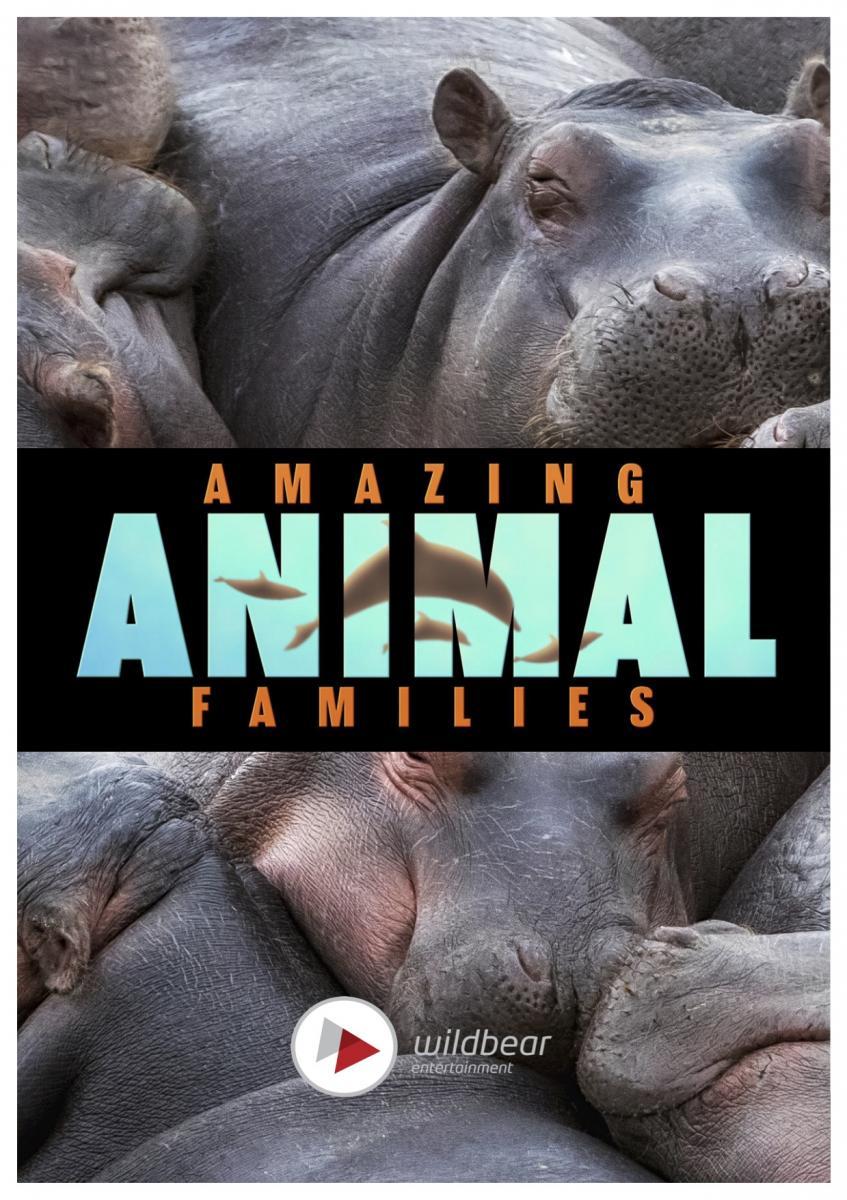 Image gallery for Amazing Animal Families (TV Series) - FilmAffinity