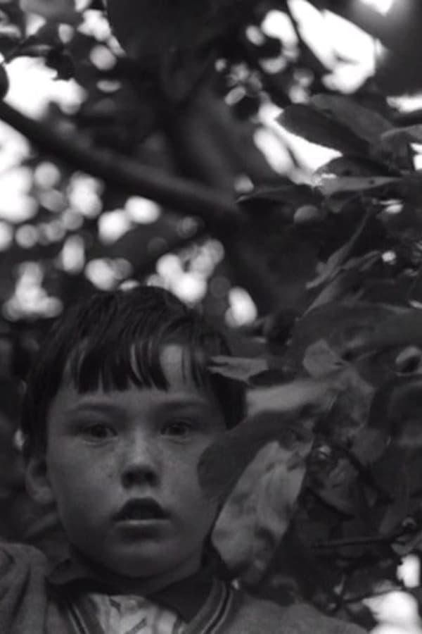 Image gallery for An Untitled Film (S) - FilmAffinity