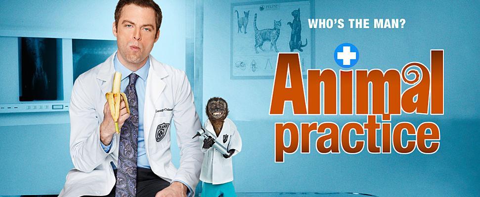 Image gallery for Animal Practice (TV Series) - FilmAffinity