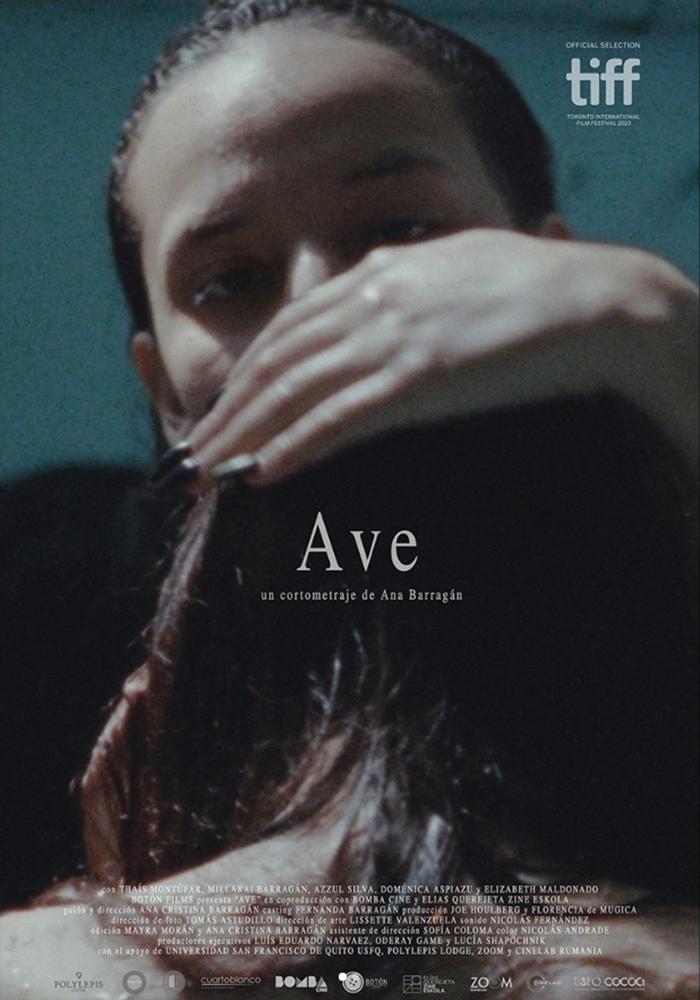 Sección visual de Ave (C) - FilmAffinity