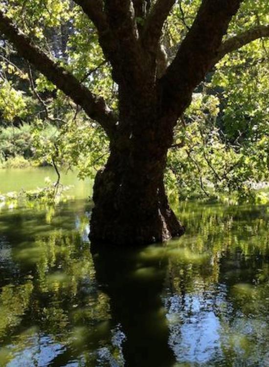 Image gallery for Avraham (S) - FilmAffinity