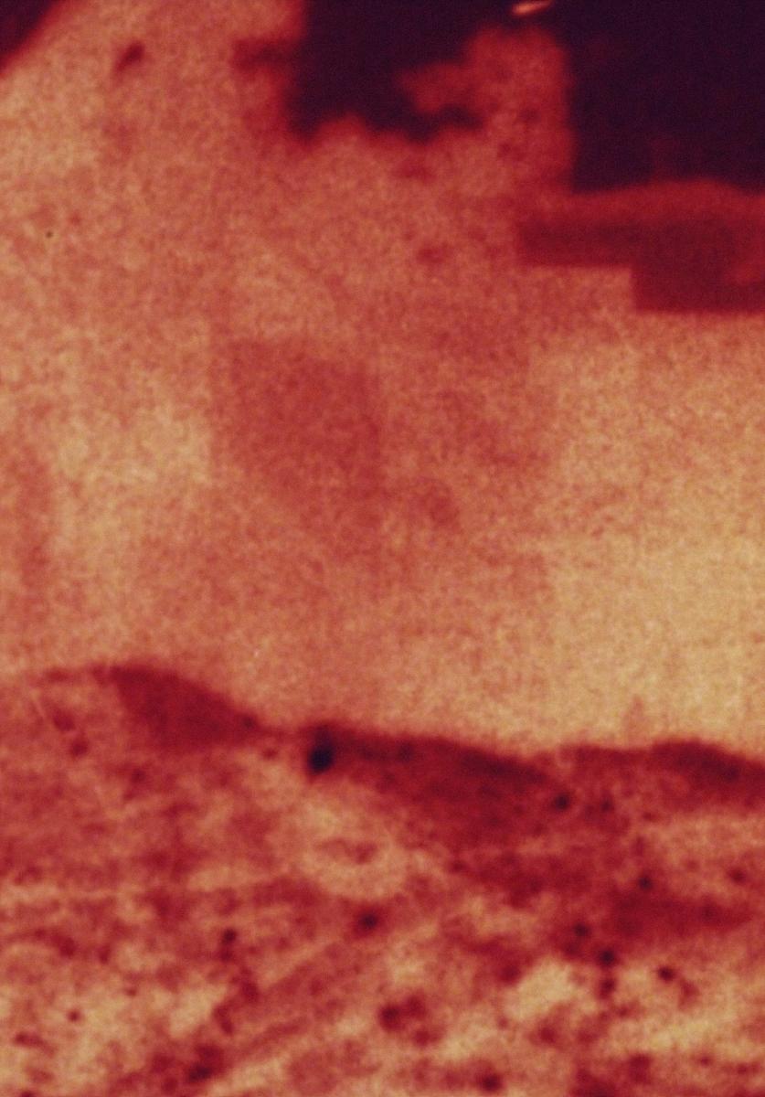 Image gallery for Azoth (S) - FilmAffinity