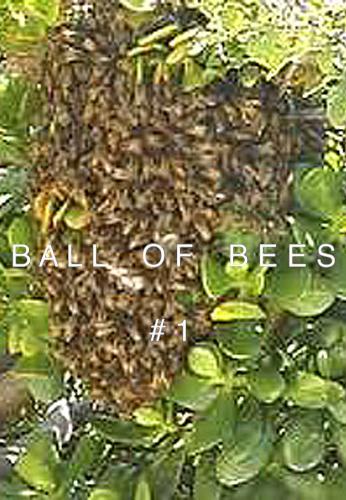 Image gallery for Ball of Bees (S) - FilmAffinity