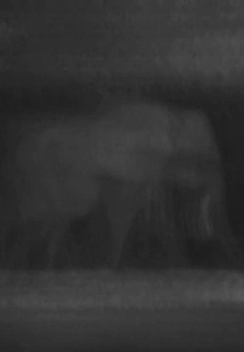 Image gallery for Bardo - FilmAffinity