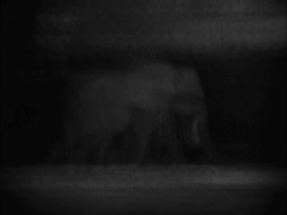 Image gallery for Bardo - FilmAffinity