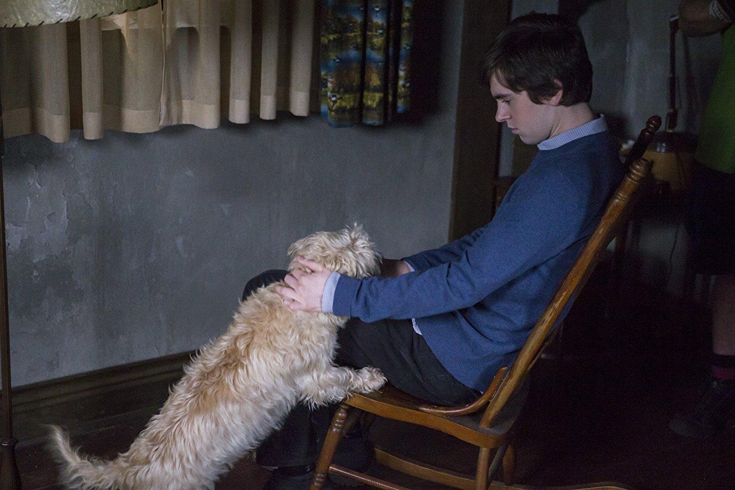 Image gallery for Bates Motel (TV Series) - FilmAffinity