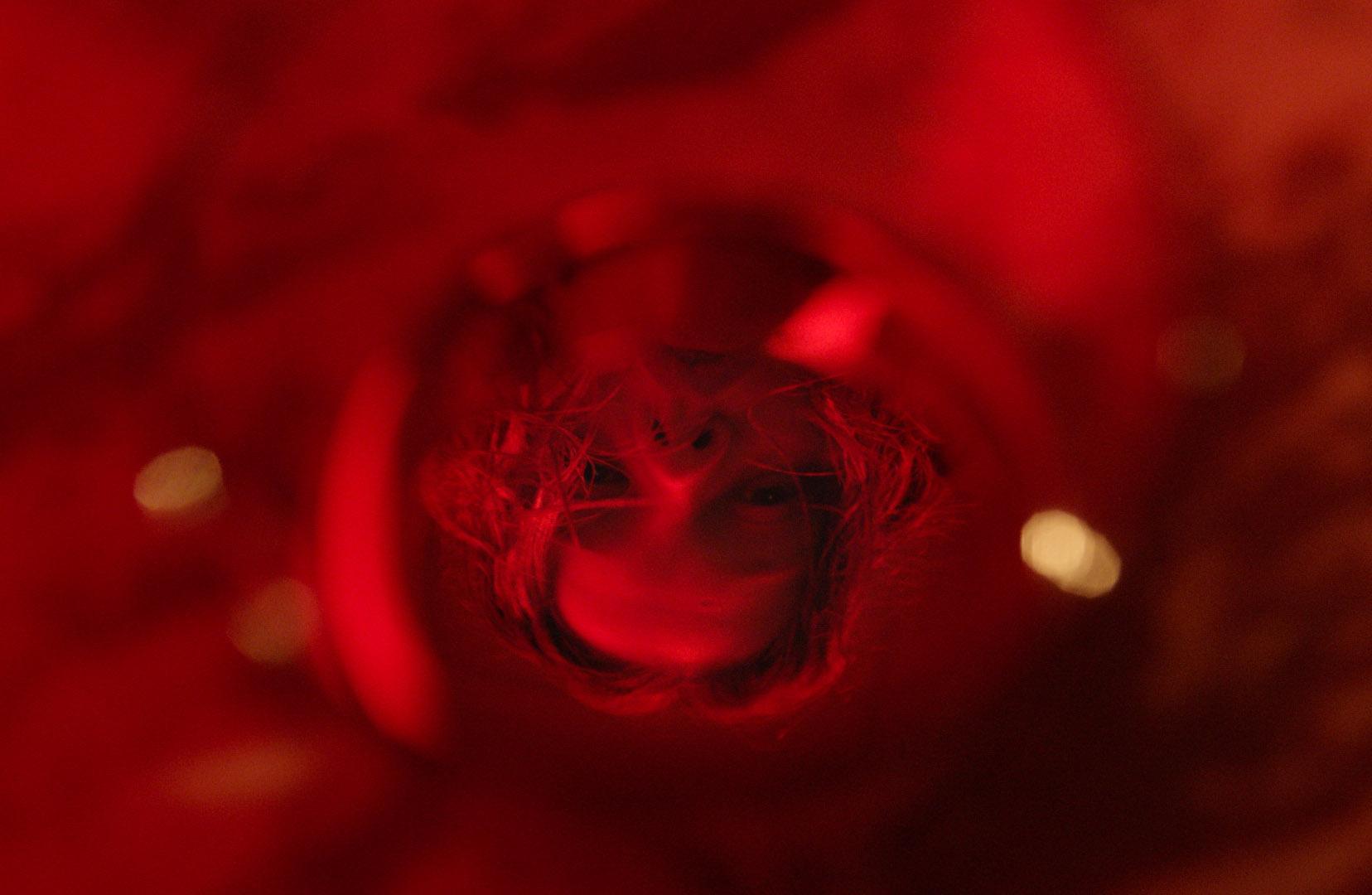 Image gallery for Beck: Up All Night (Music Video) - FilmAffinity