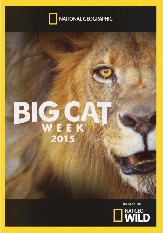 Sección visual de Big Cat Week (Serie de TV) - FilmAffinity