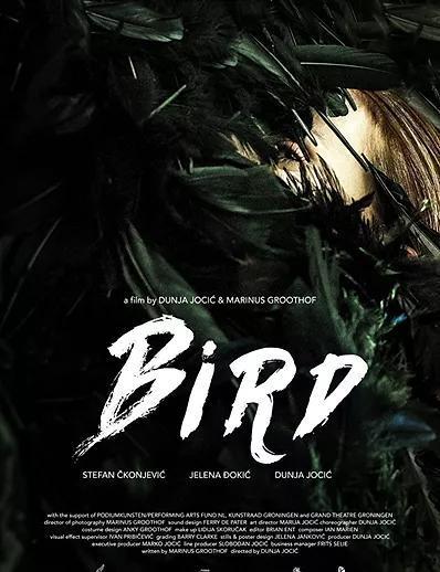 Sección visual de Bird (C) - FilmAffinity