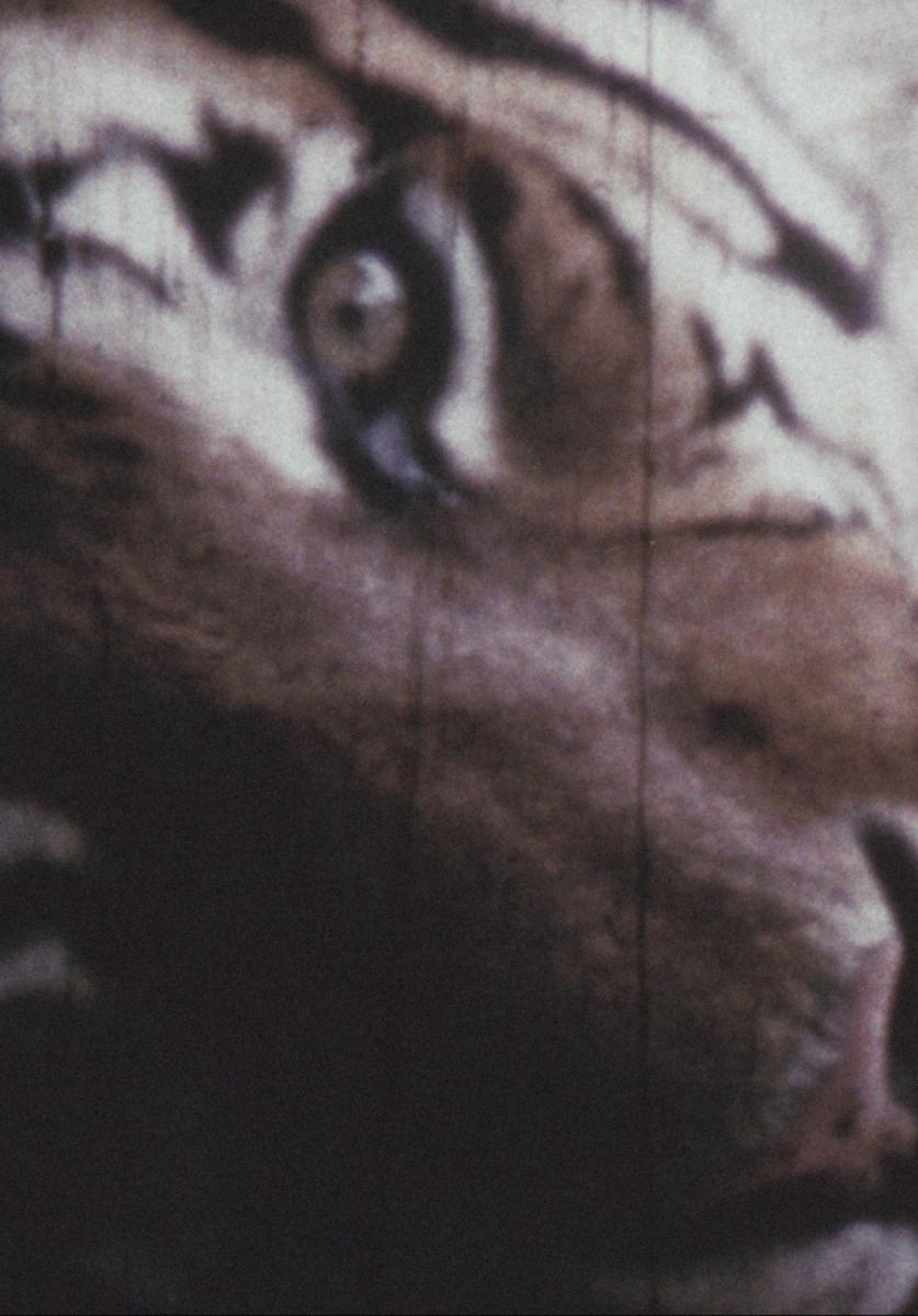 Sección visual de Boredom (C) - FilmAffinity