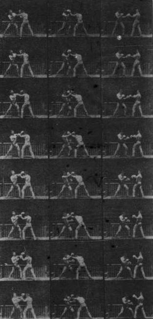 Sección visual de Boxing (C) - FilmAffinity