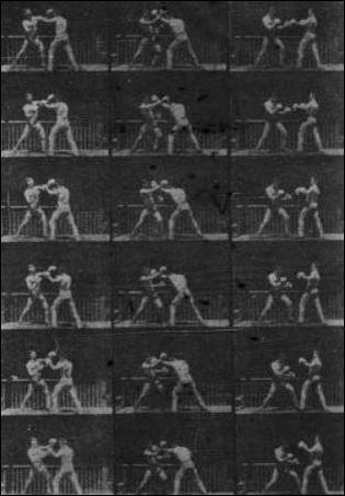 Sección visual de Boxing (C) - FilmAffinity