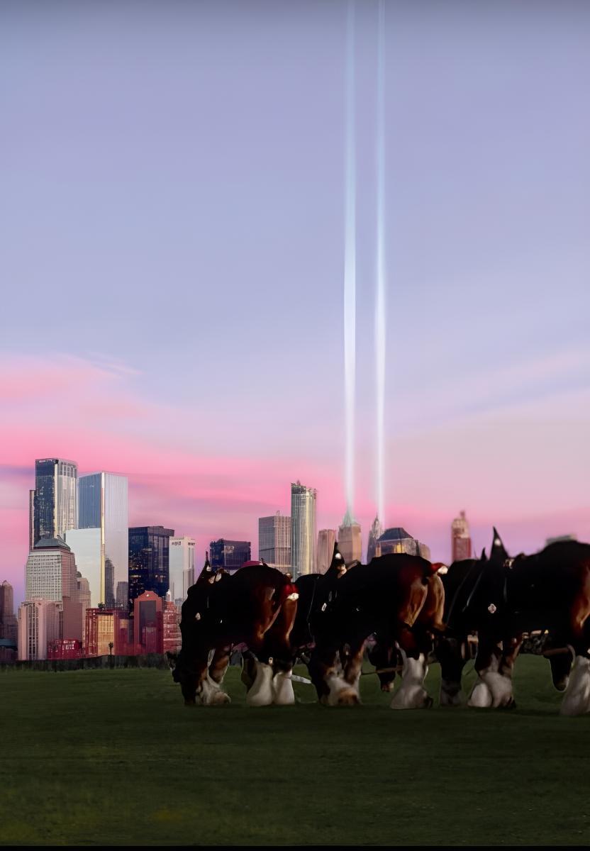 Image gallery for Budweiser: Respect (S) - FilmAffinity