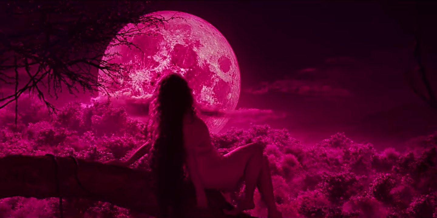 Image gallery for Bulbbul - FilmAffinity