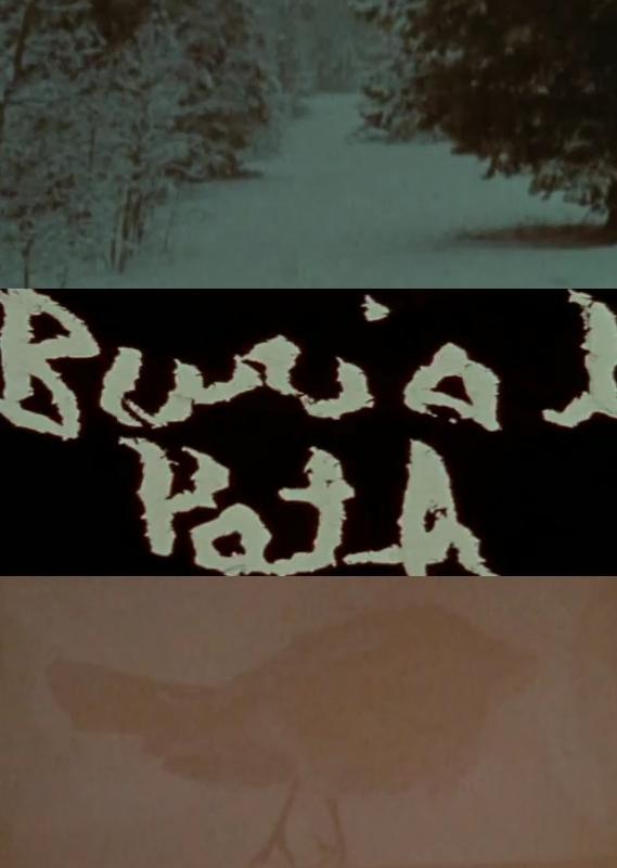 Sección visual de Burial Path (C) - FilmAffinity