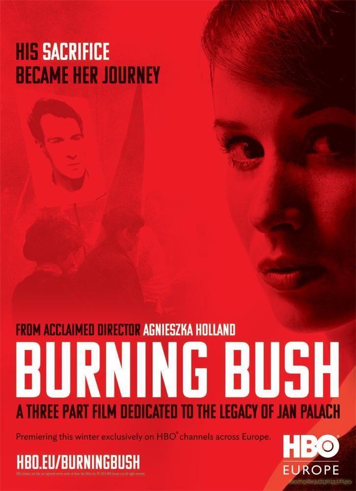 Sección visual de Burning Bush (Miniserie de TV) - FilmAffinity