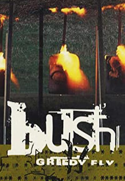 Image gallery for Bush: Greedy Fly (Music Video) - FilmAffinity