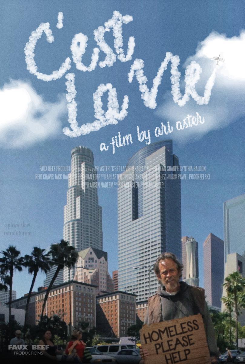 Sección visual de C'est La Vie (C) - FilmAffinity