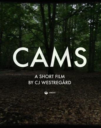 Sección visual de Cams (C) - FilmAffinity