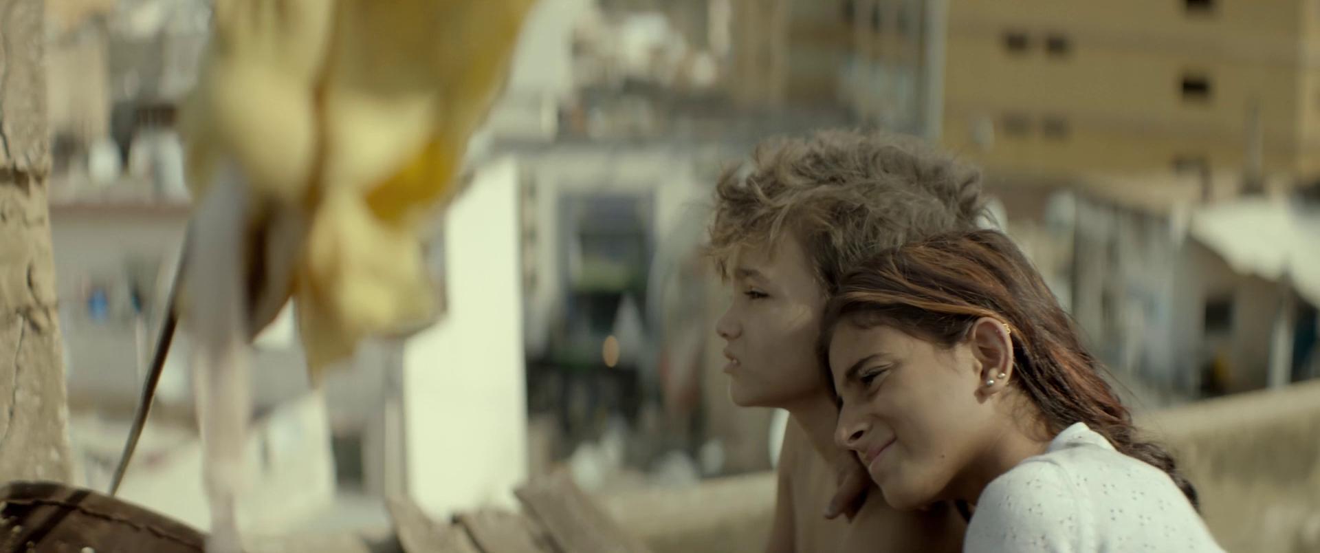 Image gallery for Capernaum - FilmAffinity