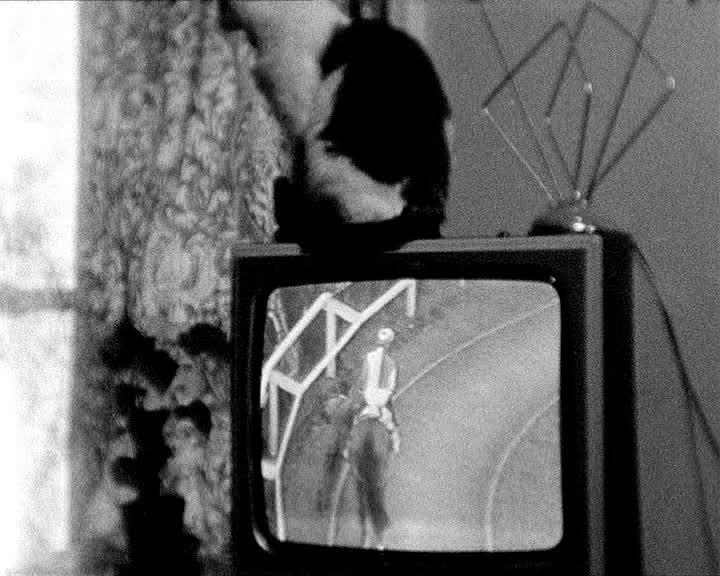 Sección visual de Cat on TV (C) - FilmAffinity