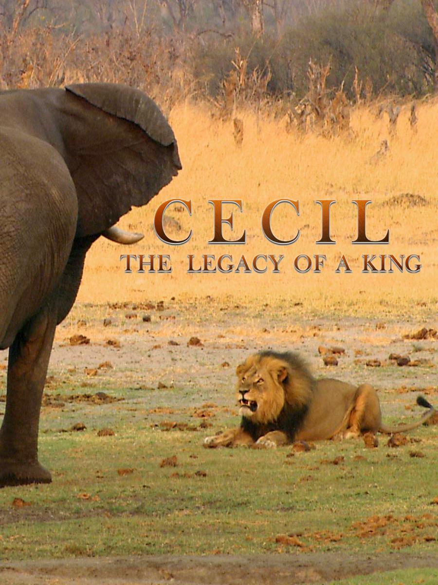 Image gallery for Cecil: The Real Lion King - FilmAffinity