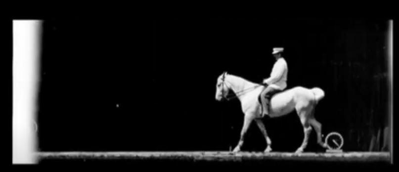 Image gallery for Cheval (Bixio). Pas monté (S) - FilmAffinity