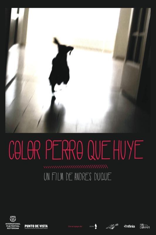 Image gallery for Color Runaway Dog - FilmAffinity