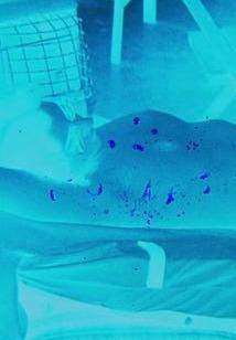 Sección visual de Common Air (C) - FilmAffinity