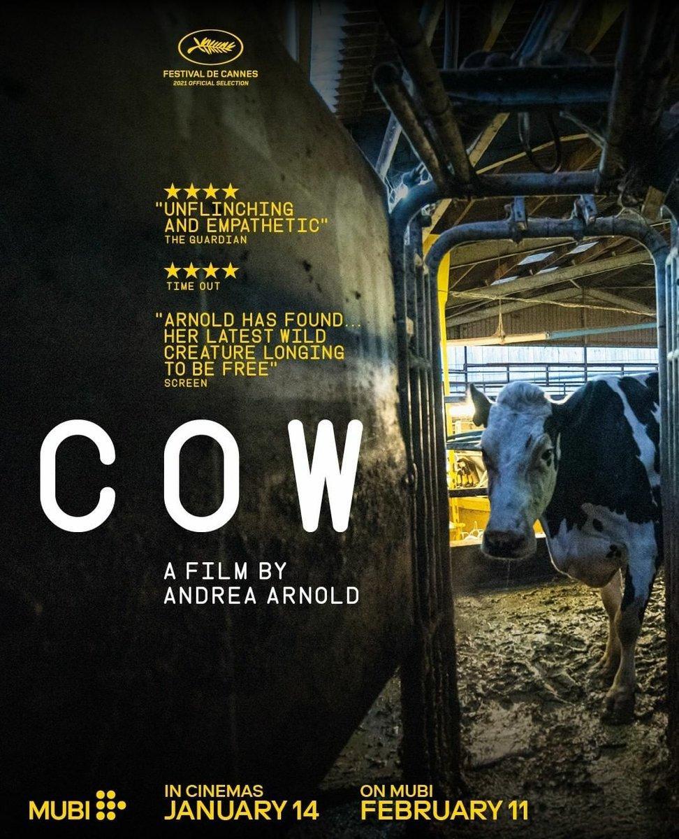 Image gallery for Cow - FilmAffinity