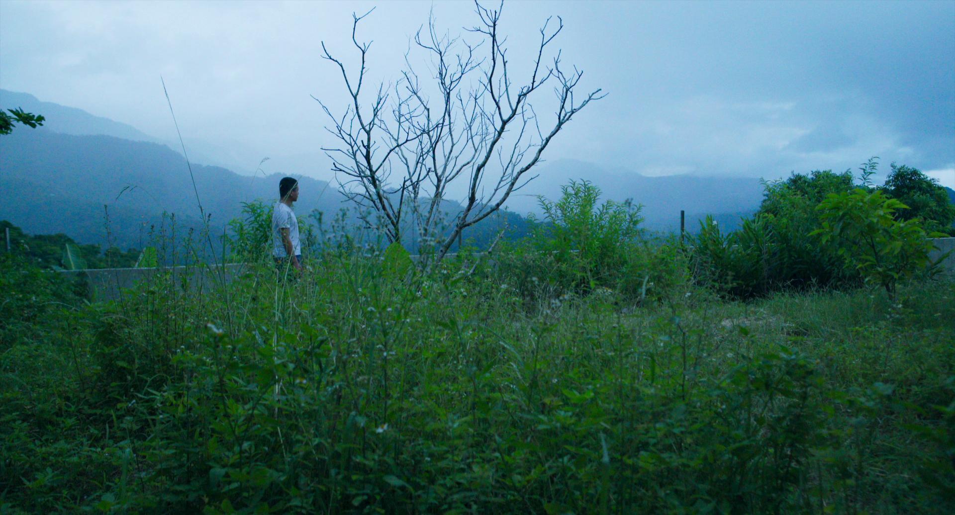 Image gallery for Days - FilmAffinity