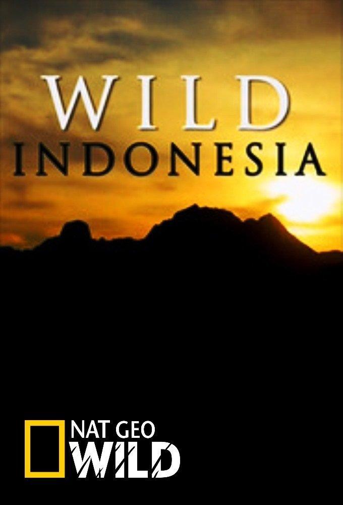 Image gallery for Destination Wild: Indonesia (TV Miniseries ...