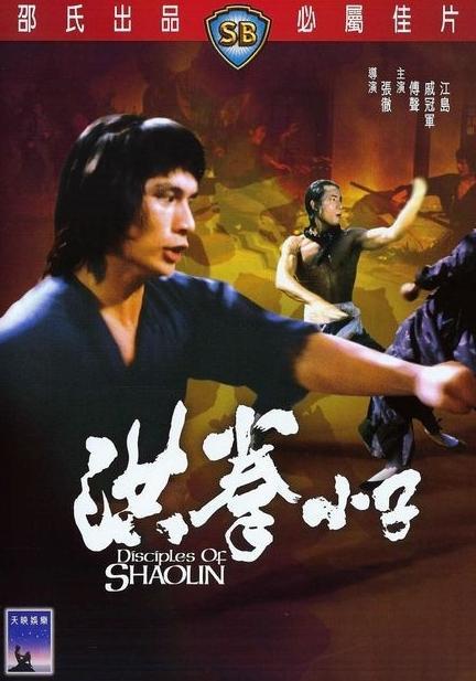 Image gallery for Disciples of Shaolin - FilmAffinity