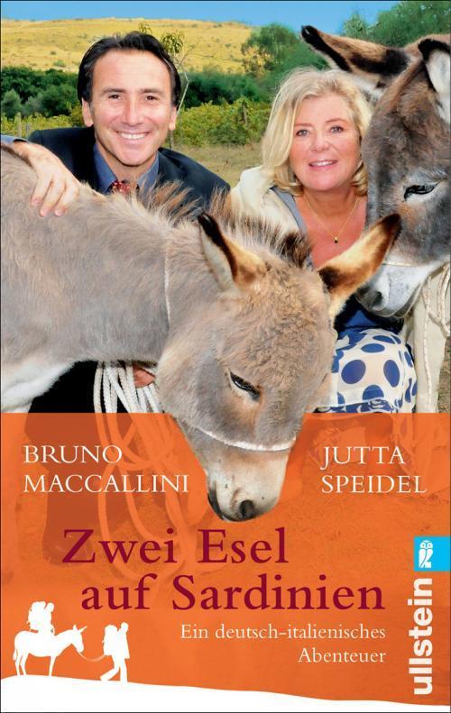 Sección visual de Dos burros en Cerdeña (TV) - FilmAffinity