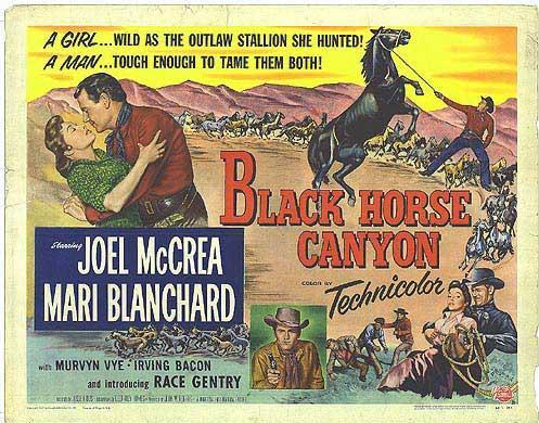 Sección visual de El cañón del corcel negro - FilmAffinity